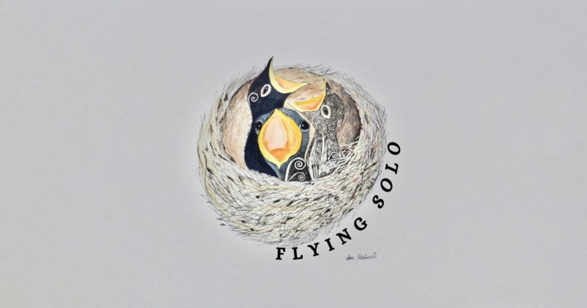 Flying Solo - An anthology of creative writing about the experience of ...