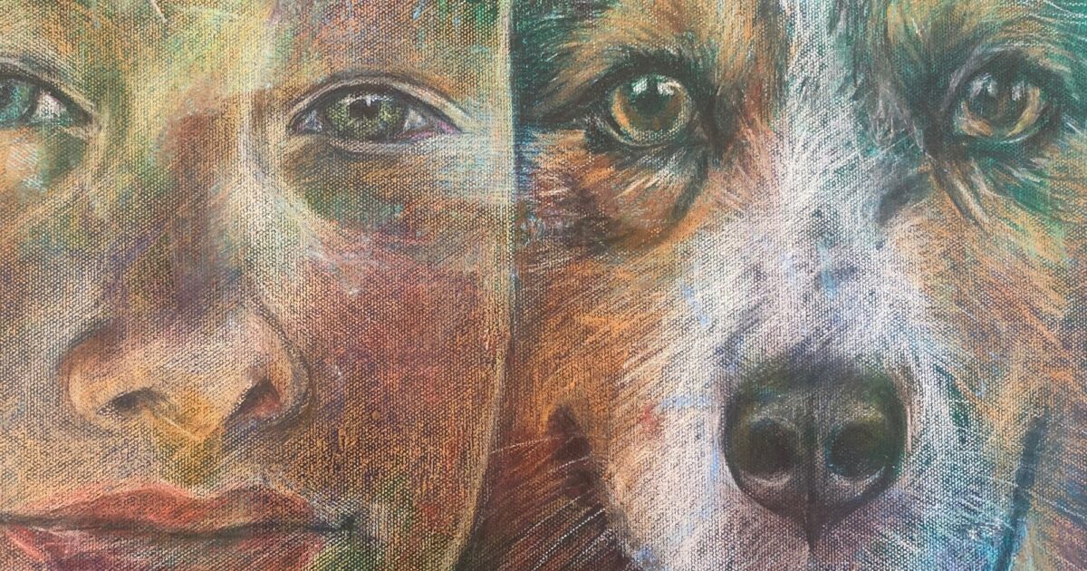 Seeking Will Picture Book | Boosted | Crowdfunding Arts in New Zealand