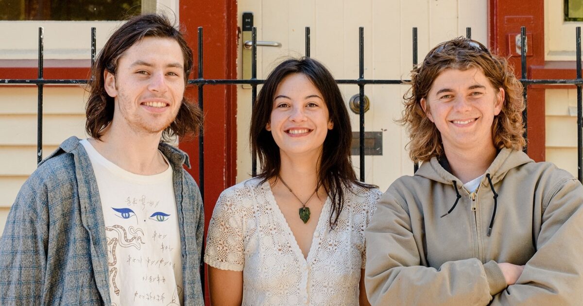The Green Room Gallery | Boosted | Crowdfunding Arts in New Zealand