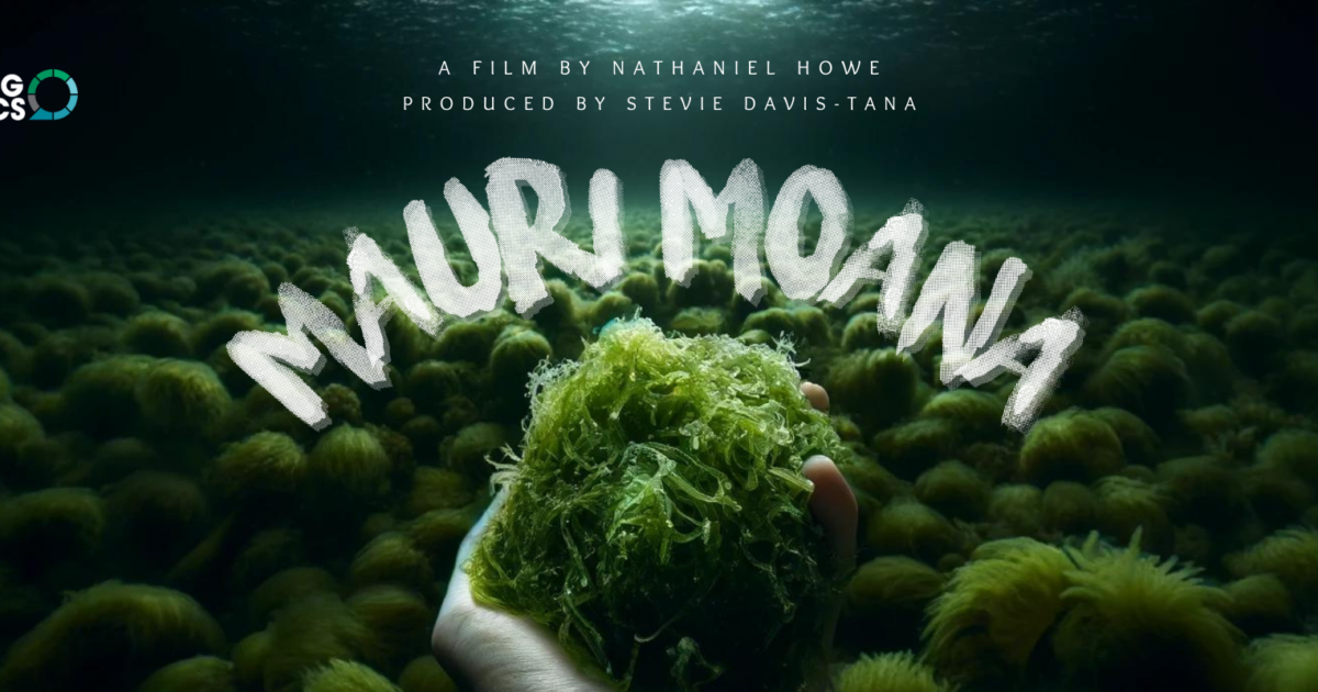 Mauri Moana | Boosted | Crowdfunding Arts in New Zealand