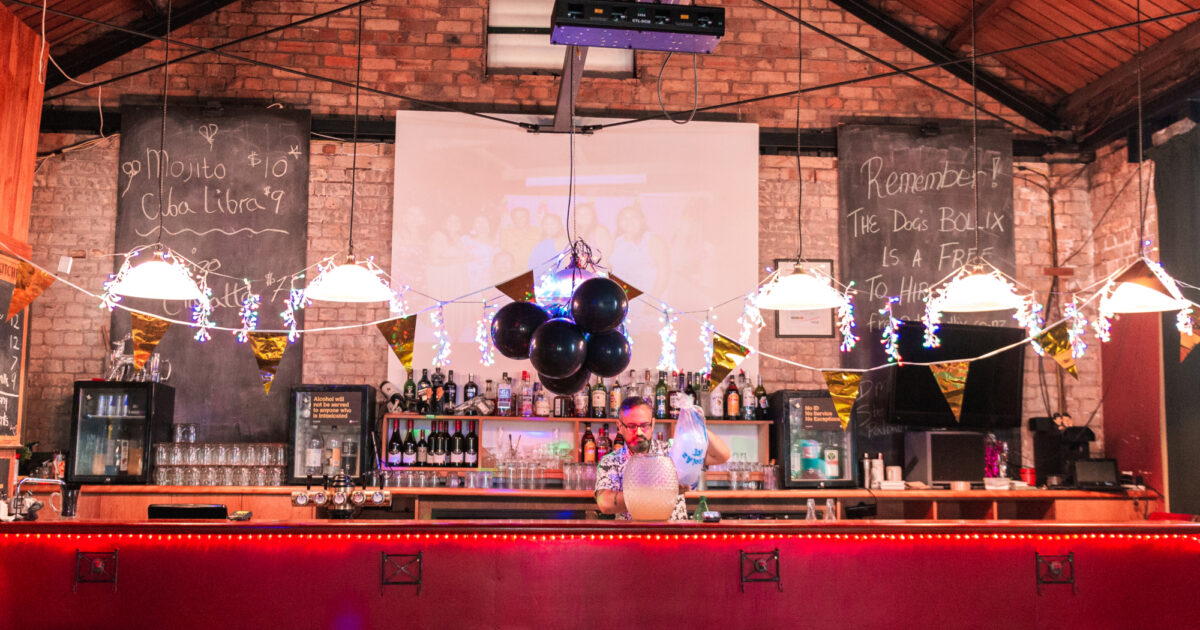 Keep The Dogs Bollix LIVE | Boosted | Crowdfunding Arts in New Zealand